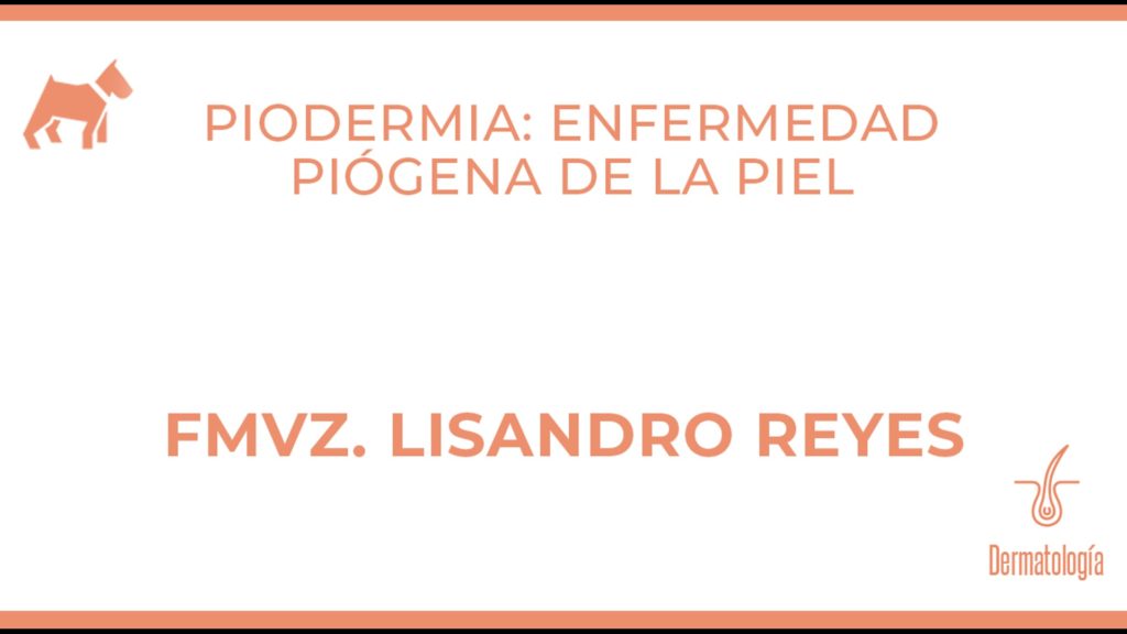 PIODERMIA: ENFERMEDAD PIÓGENA DE LA PIEL - LISANDRO REYES - REMEVET