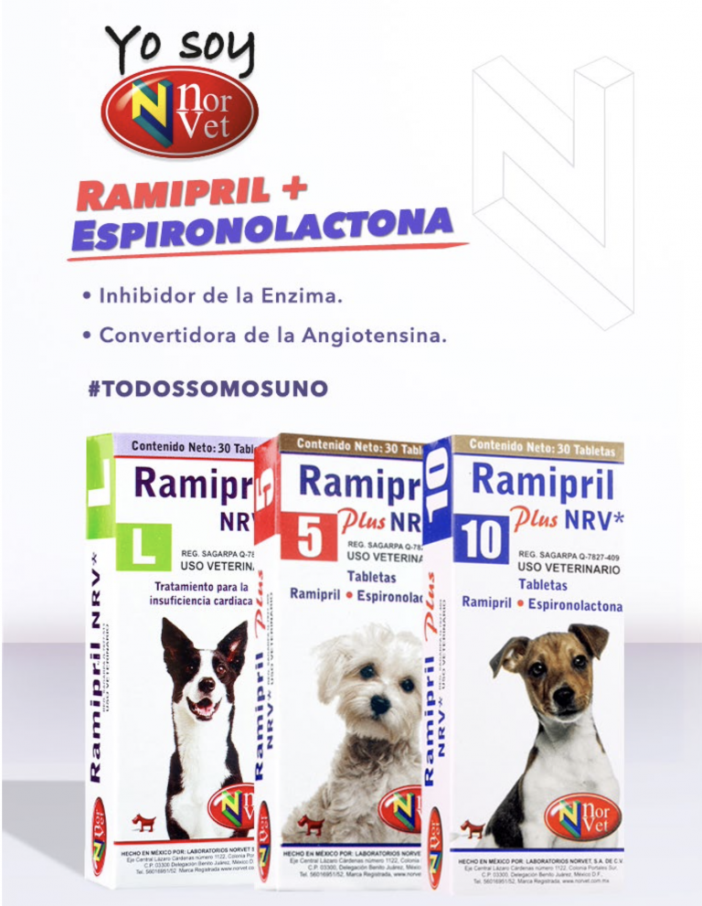 REMEVET – Recursos de aprendizaje continuo para el médico veterinario ...
