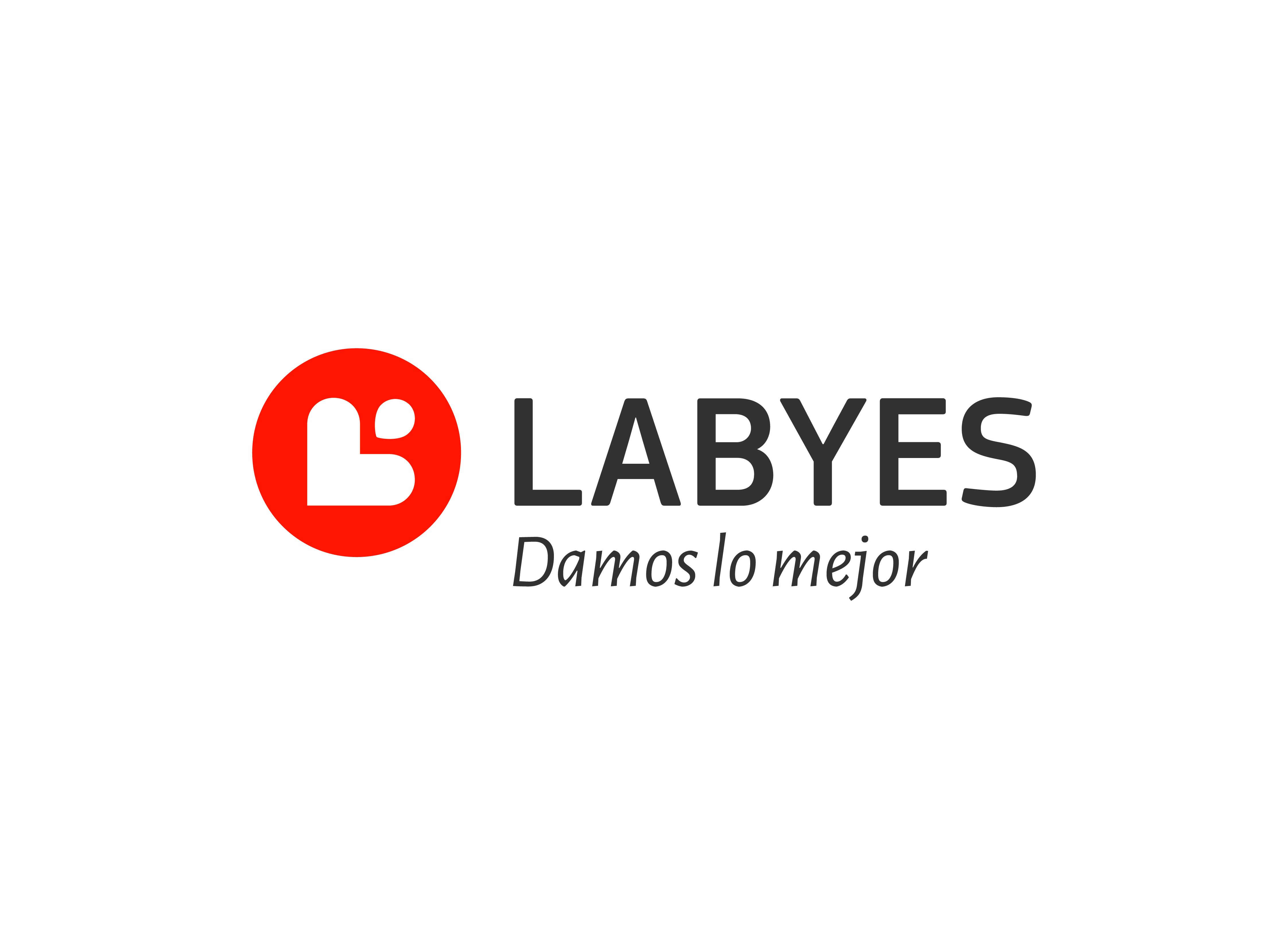 Perro parapléjico ¿qué hago? - REMEVET